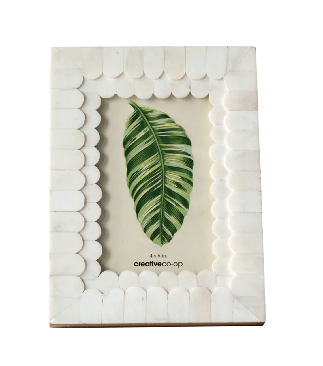 Bone Photo Frame – Bolt Ranch Store
